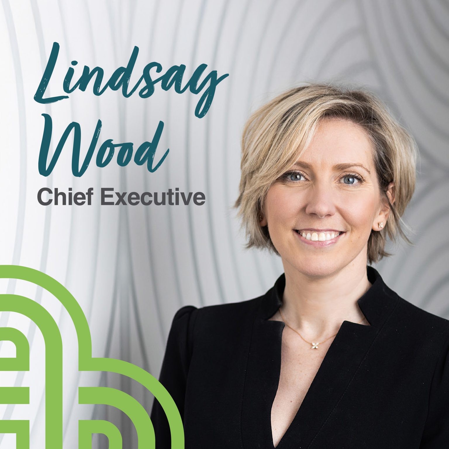 Lindsay Wood appointed Chief Executive